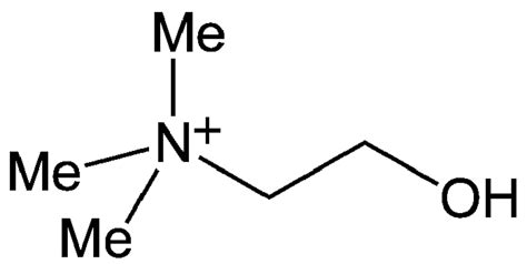 Choline American Chemical Society