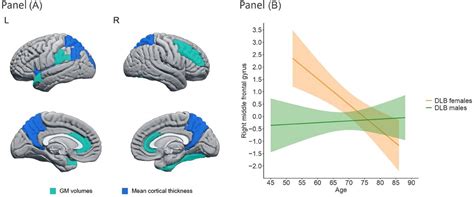 Sex Differences In Brain Atrophy In Dementia With Lewy Bodies Neuroscience Hub