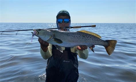 Speckled Trout Lures