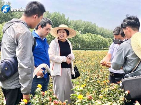 精密制造创新团队研制出便携式红花采摘机 助力我省特色中药产业发展 平顶山学院能源与电气工程学院