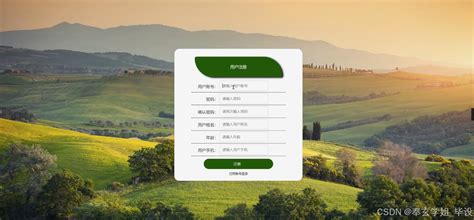 springboot毕设 旅游指南网站 程序 论文 csdn博客