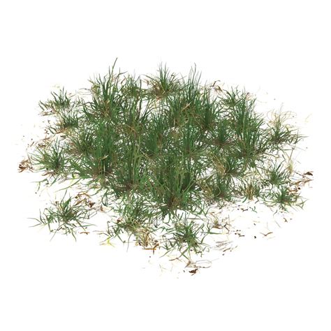 Realistic Game Ready Grass Collection 3d Model By Cgsea