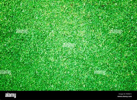 Grass Background Golf Courses Green Lawn Pattern Textured Background