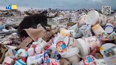 მშიერი ხალხი და საკვები ნაგავში Youtube