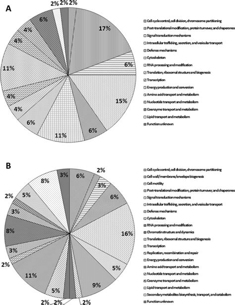 Clusters Of Orthologous Groups COGs Classification Of Identified Download Scientific Diagram
