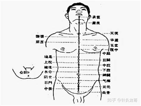 如何打通任督二脉 知乎