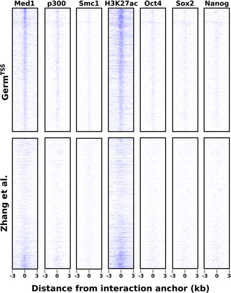 visualization of chip seq data in regions detected to interact with