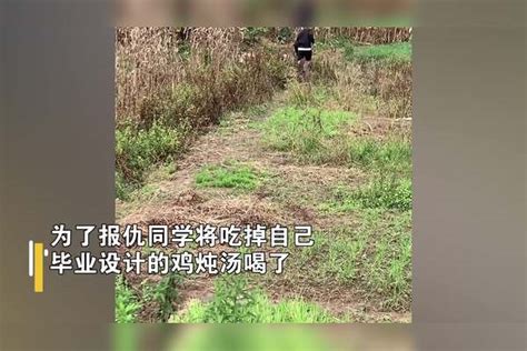 农大同学论文被鸡吃掉发现是同学养的逮住将其炖汤吃掉 论文 同学 大同