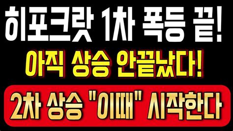 코인추천 히포크랏 1차 폭등 끝 아직 상승 안끝났습니다 2차 상승은 이때 시작합니다 미리 준비하세요 히포크랏 히포크랏코인 리플 도지코인 Youtube