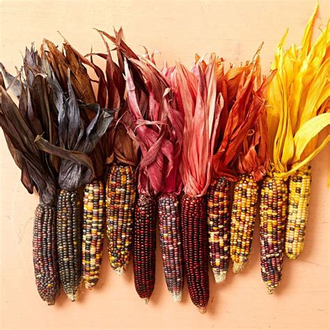 Corn Husk Usage At Laurice Carter Blog