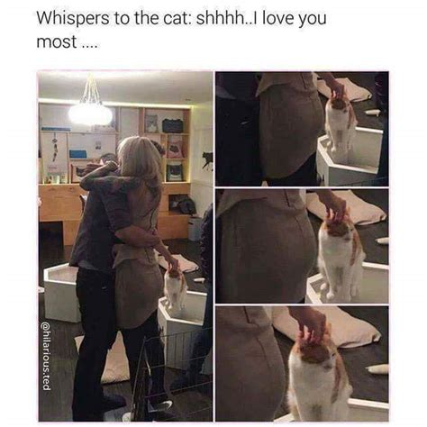 Accurate Album On Imgur