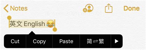 The Height Of Highlight When Selecting Text Is Different From Language