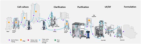 Manufacture Bio Processing Overview Upstream And Downstream Process