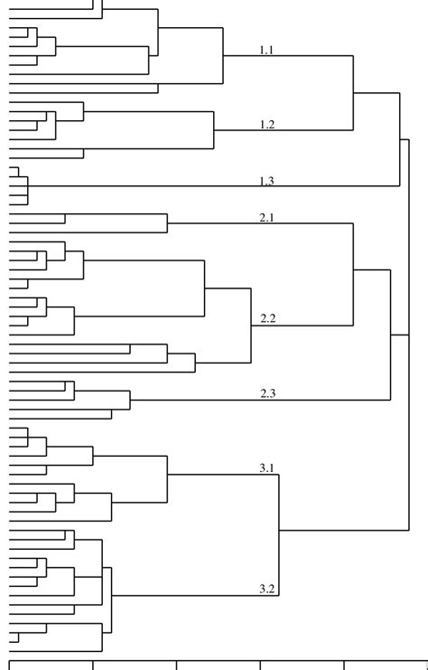 cluster analysis mm wpgma showing classification of crowea exalata