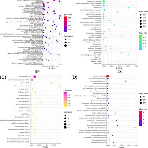 Wgcna Analysis Of Differentially Expressed Genes A Cluster Download Scientific Diagram