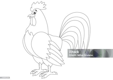 흑백 수탉 벡터 평면 디자인은 흰색 배경에 고립 된 페이지를 색칠하는 데 이상적입니다 0명에 대한 스톡 벡터 아트 및 기타