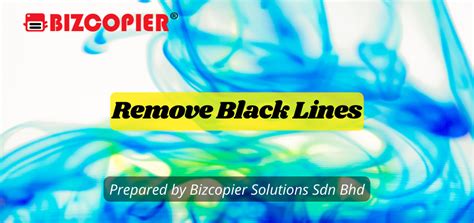 remove black lines ricoh copier supplier in klang valley