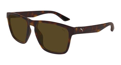 Puma Sunglasses Mens In Havana Brown Pu0505s 002 Sedgars Sa