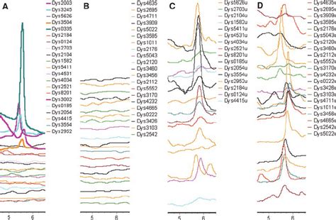 Denaturing High Performance Liquid Chromatography Chromatograms Of
