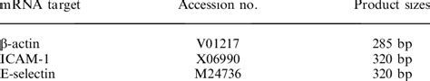 Control Cytokine Mrna And B Actin Mrna Used In Rt Pcr Analysis