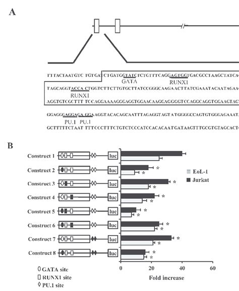 Effects Of Point Mutants Of Runx1 And Pu1 Binding Motifs On Ccr3