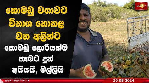 කොමඩු වගාවට විනාශ නොකළ වන අලින්ට ‍කොමඩු ලොරියක්ම කෑමට දුන් අයියයි