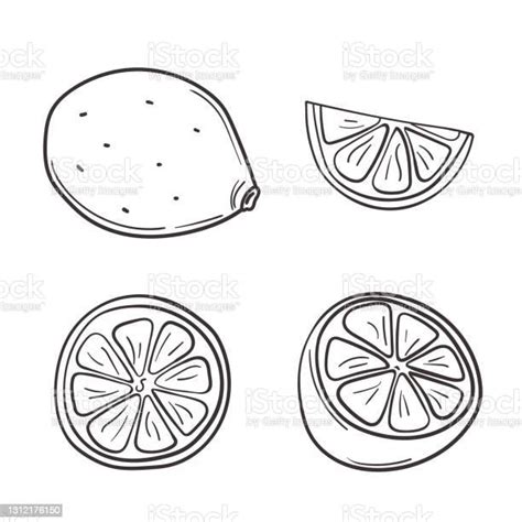 낙서 손으로 그린 스타일에 신선한 육즙 레몬 비타민 C 과일의 전체 반쪽 흰색으로 격리된 벡터 일러스트레이션 집합 0명에 대한 스톡 벡터 아트 및 기타 이미지 Istock