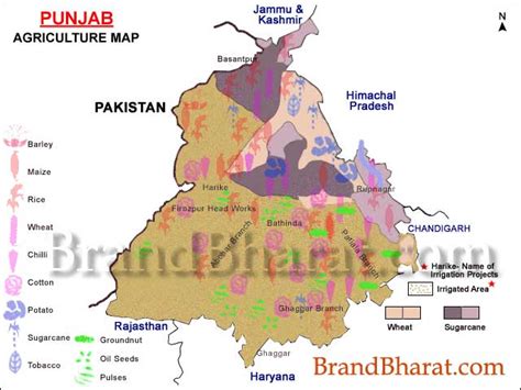 Punjab Agriculture Map Punjab State