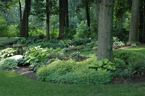 24 Deep Shade Garden Plants Ideas To Consider Sharonsable