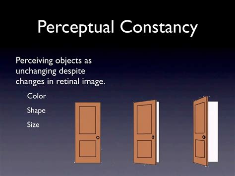 perception slides key