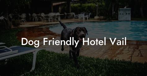Dog Friendly Hotel Big Bear Dog Hotels