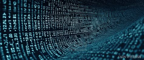 Ai大模型探索之路 训练篇6：大语言模型预训练数据准备 预处理语种识别模型训练前数据要做哪些预处理 Csdn博客