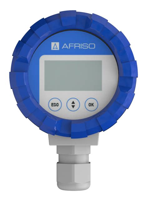 Guided Micropulse Level Indicators Pulsfox® Pmg 20 Afriso Afriso