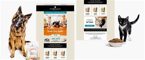 Email Marketing EDM Design Email Design PERCEPT Digital Design Agency