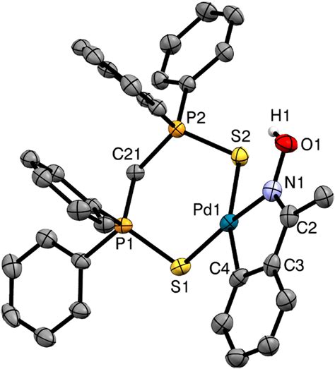 Molecular Structure Of 3 Hydrogen Atoms Except H1 And Clo4 Anion Are Download Scientific