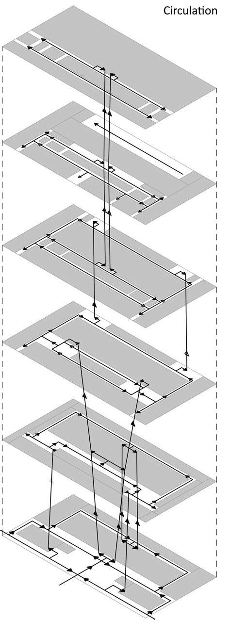 Axon Circulation Diagram Irfanhaider 48105 S15