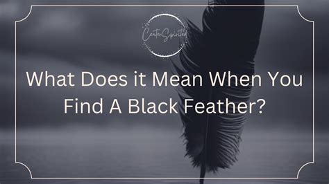 What Do Black Feathers Symbolize Meaning Spiritual Significance And