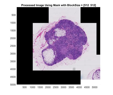 blocked images matlab and simulink
