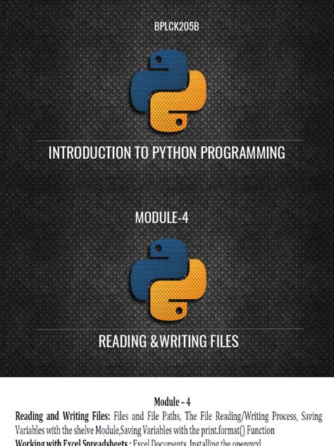 Python File Handling Basics Pdf Computer File Microsoft Excel