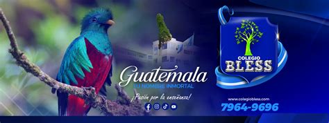 Colegio Bless Ciclo Básico Colegio Bless Ciclo Básico