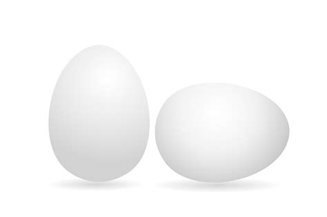 계란입니다 화이트 3d 달걀 닭입니다 흰색 배경에 고립 벡터 일러스트입니다 갈색에 대한 스톡 벡터 아트 및 기타 이미지 갈색 건강한 생활방식 그림자 Istock