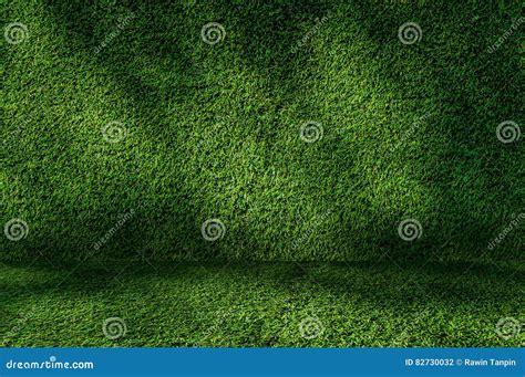 A Perspective Grass Green Wall And Floor Interior Background Royalty