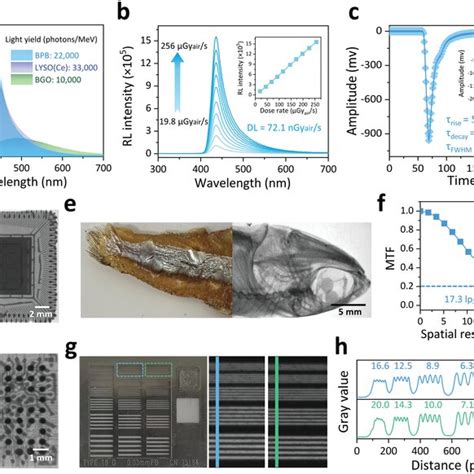 Schematic Of The Fast Neutron Imaging System At Csns And Simulation Of Download Scientific