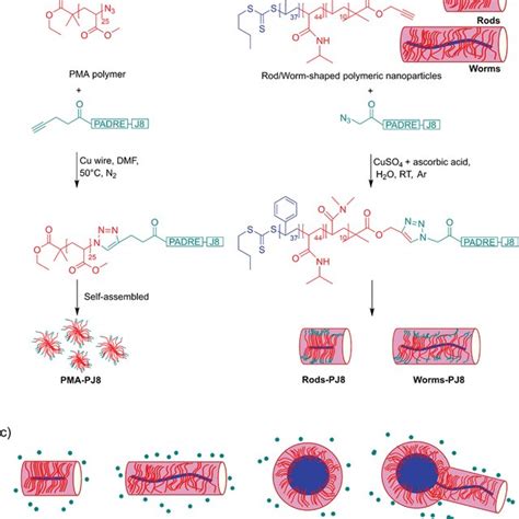 Antibodies Opsonization Potential Against Gas Average Opsonization