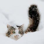 使用Spring AI开发MCP Server的配置与实战 itaiits site