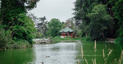 Stow Lake In Golden Gate Park Renamed Blue Heron Lake Bay Area