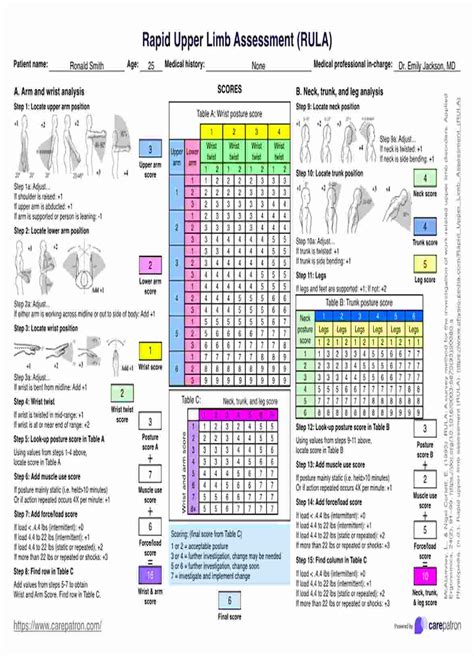 Rapid Upper Limb Assessment And Example Free Pdf Download