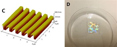 Implementation Of Two Distinct Wavelengths To Induce Multistage