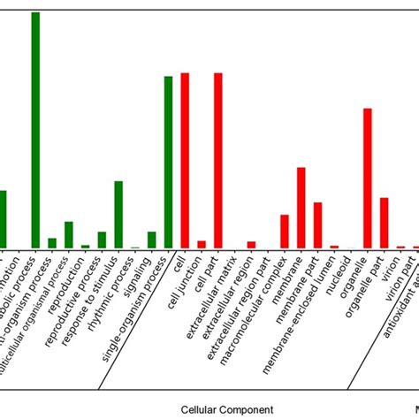 Categorisation Of The Identified Unigenes Depending On Go Functional Download Scientific