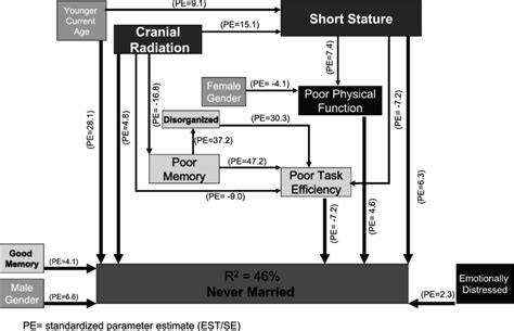 Graphic Representation Of Structural Equation Modeling Of Predictors Of Download Scientific